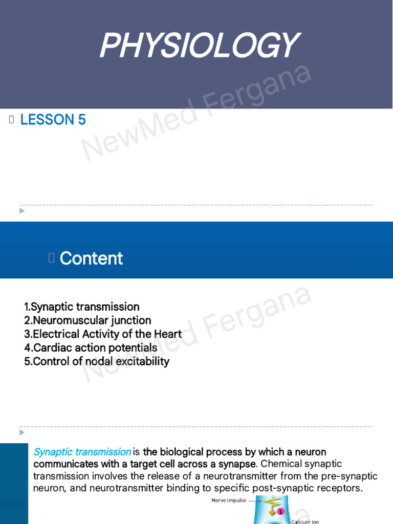 Physiology Lesson 5 Synaptic Trans | PDF | Synapse | Chemical Synapse