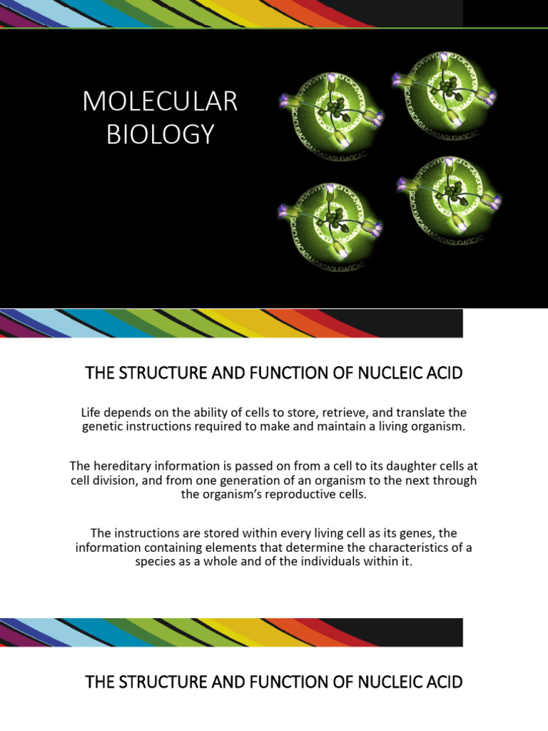 Topic2 - Structure and Function of DNA | PDF | Dna | Dna Replication