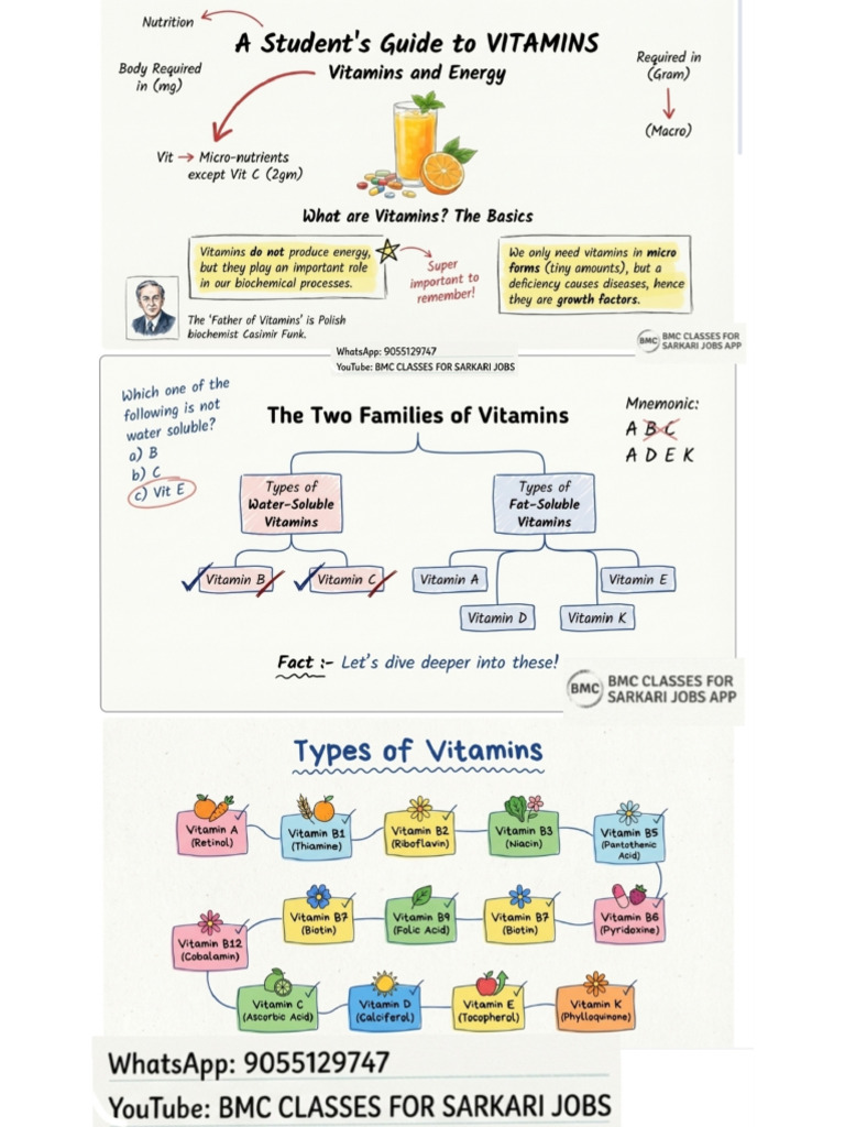 Vitamins Class Notes | PDF