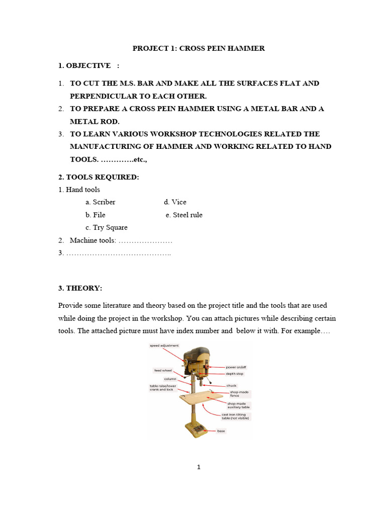 Workshop Report Format (Project Wise) | PDF