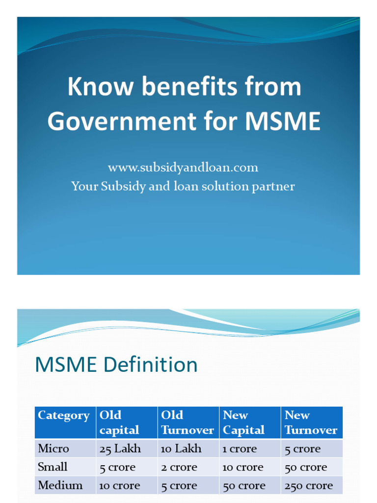 MSME Subsidy and Loan Solutions Guide | PDF | Business | Economies