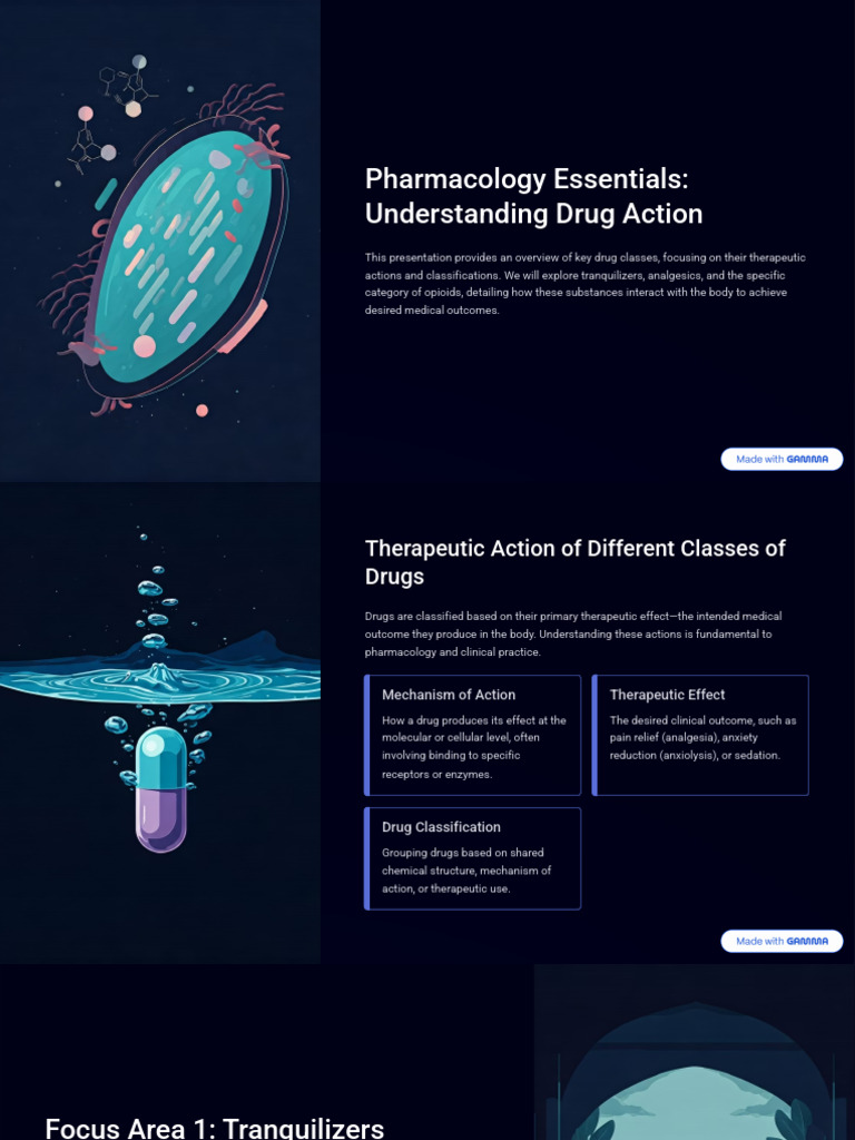 Drug Classes: Tranquilizers & Analgesics | PDF | Analgesic | Opioid