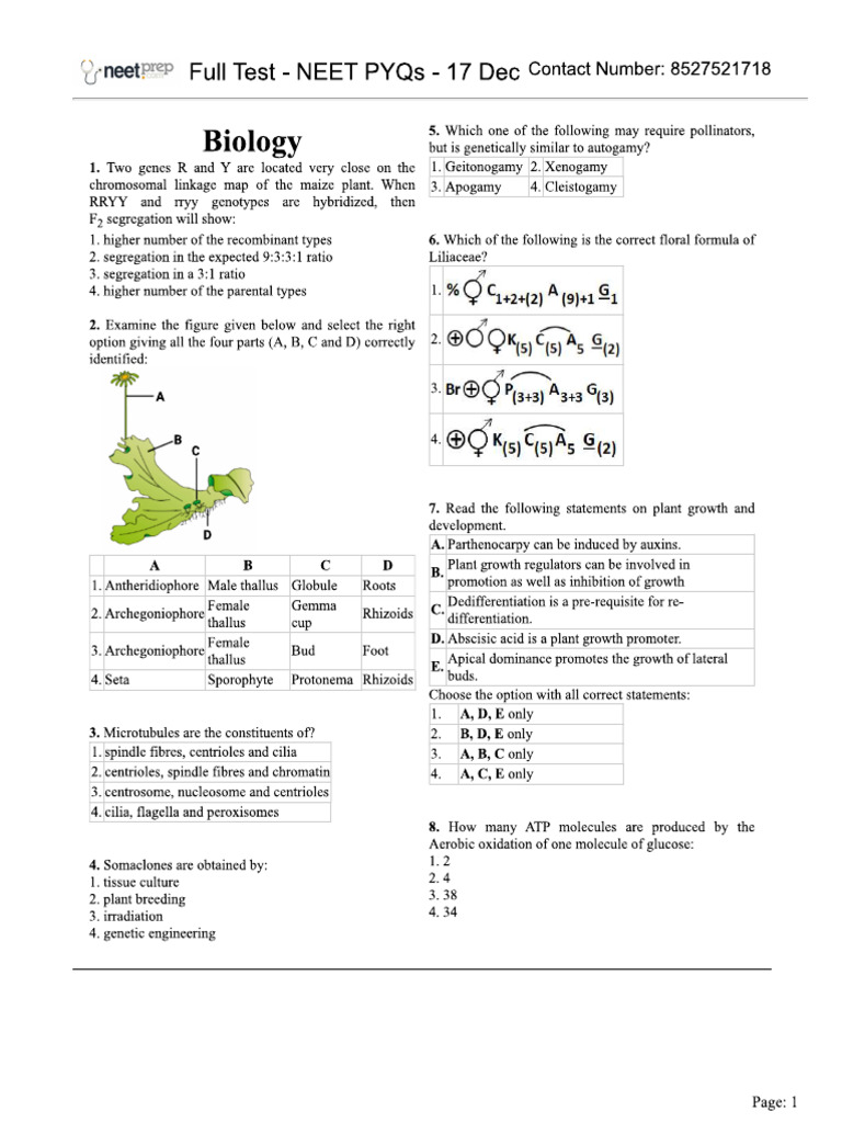 Full Test | PDF