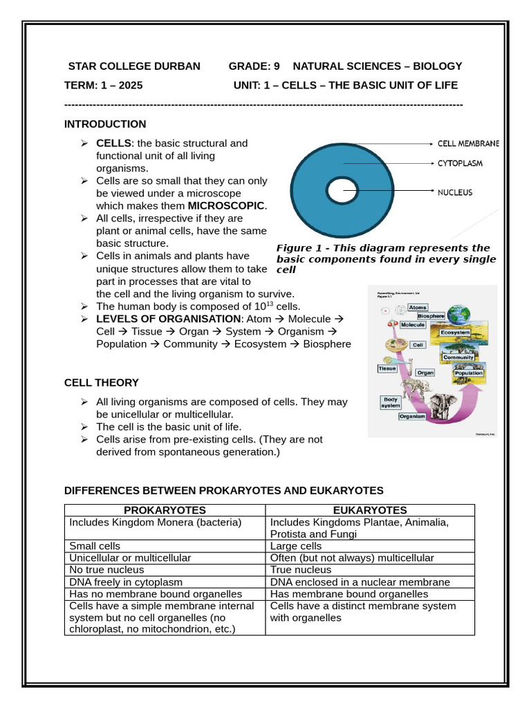 Grade 9 Biology: Cell Structure Overview | PDF | Cell (Biology) | Vacuole