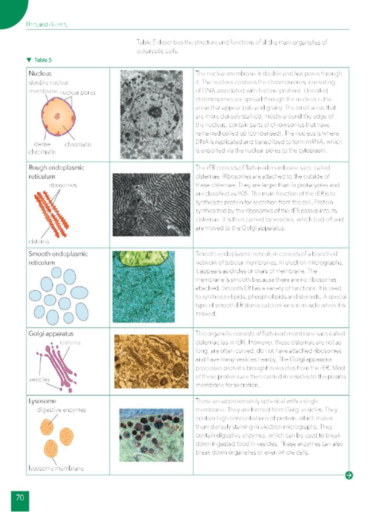 A2.2.11. Drawing and Annotation, EM | PDF