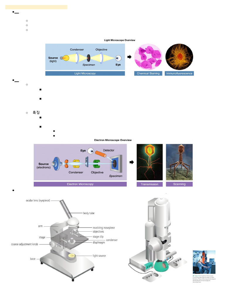 Biology Notes With Images | PDF | Cell (Biology) | Microscope