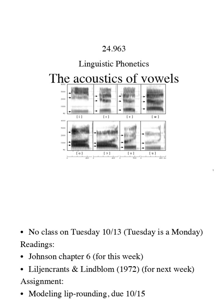 Acoustics of Vowels in Phonetics | PDF | Human Communication | Human Voice