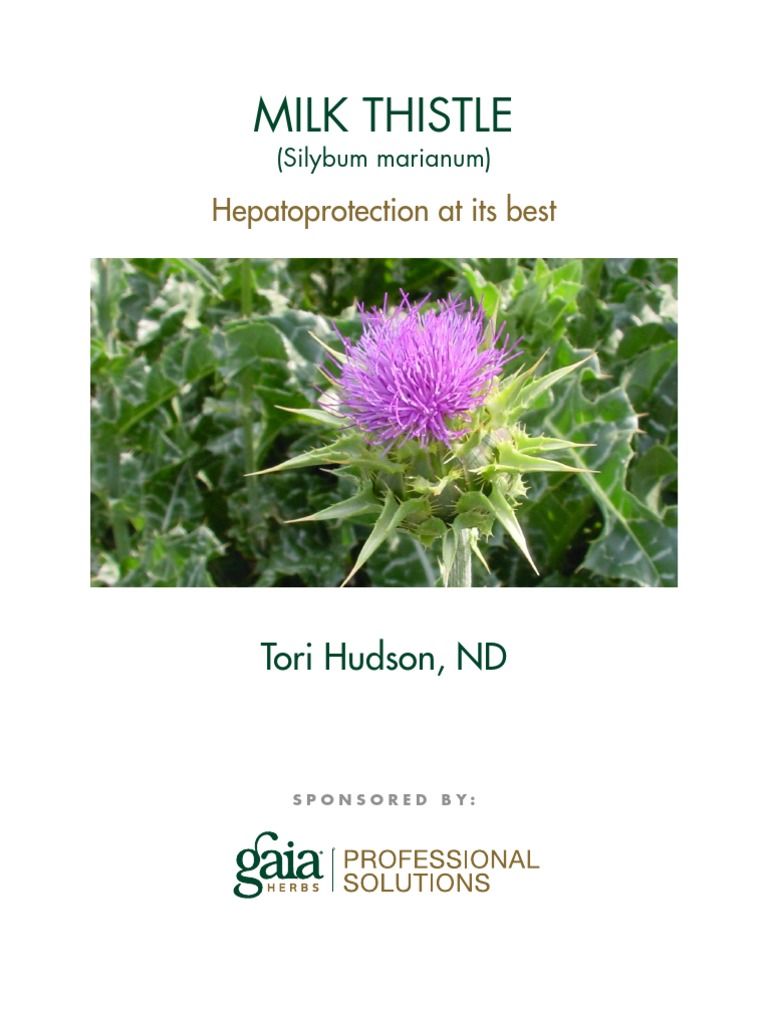 A Research Review of Milk Thistle | PDF | Hepatitis | Placebo