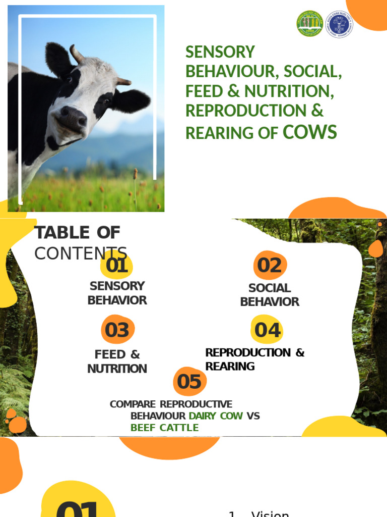 Sensory Behaviour Social Feed Nutrition Reproduction Rearing of Cows ...