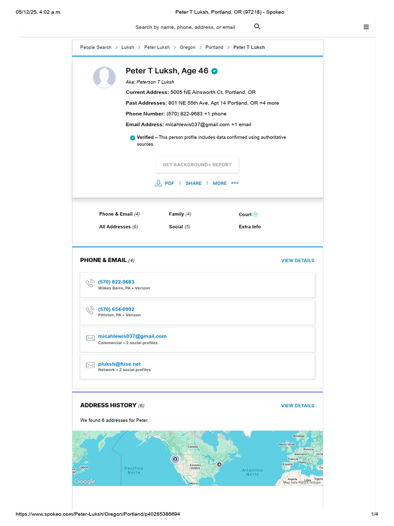 Peter T Luksh Background Report | PDF | Facebook | Linked In