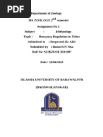 Common Edible Molluscs in the Philippines | PDF | Molluscs