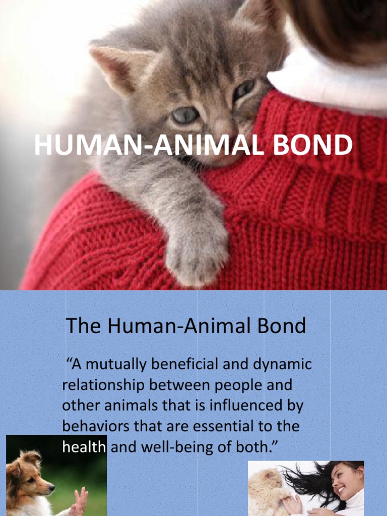 Human Animal Bond | PDF | Pet | Dogs