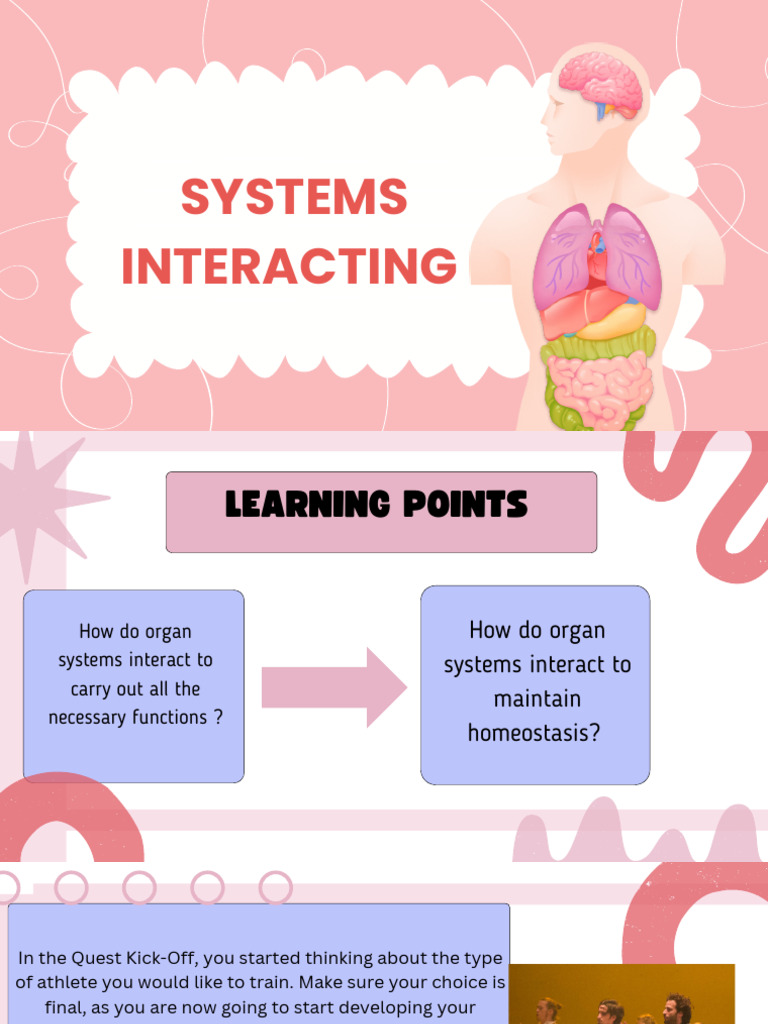 Systems interacting new .pptx_20251228_162747_٠٠٠٠ | PDF | Human Body ...