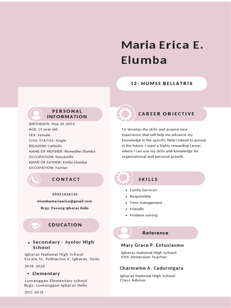Pink Professional Business Administration Resume 20240213 060243 0000 ...