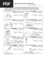 Completed Upper Extremity Rom Norms Sheet 1 | PDF | Anatomical Terms Of ...