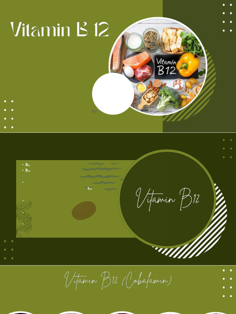 Vitamin B12 English | PDF