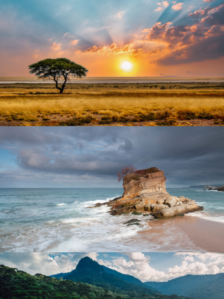 Pretty Desktop Backgrounds | PDF