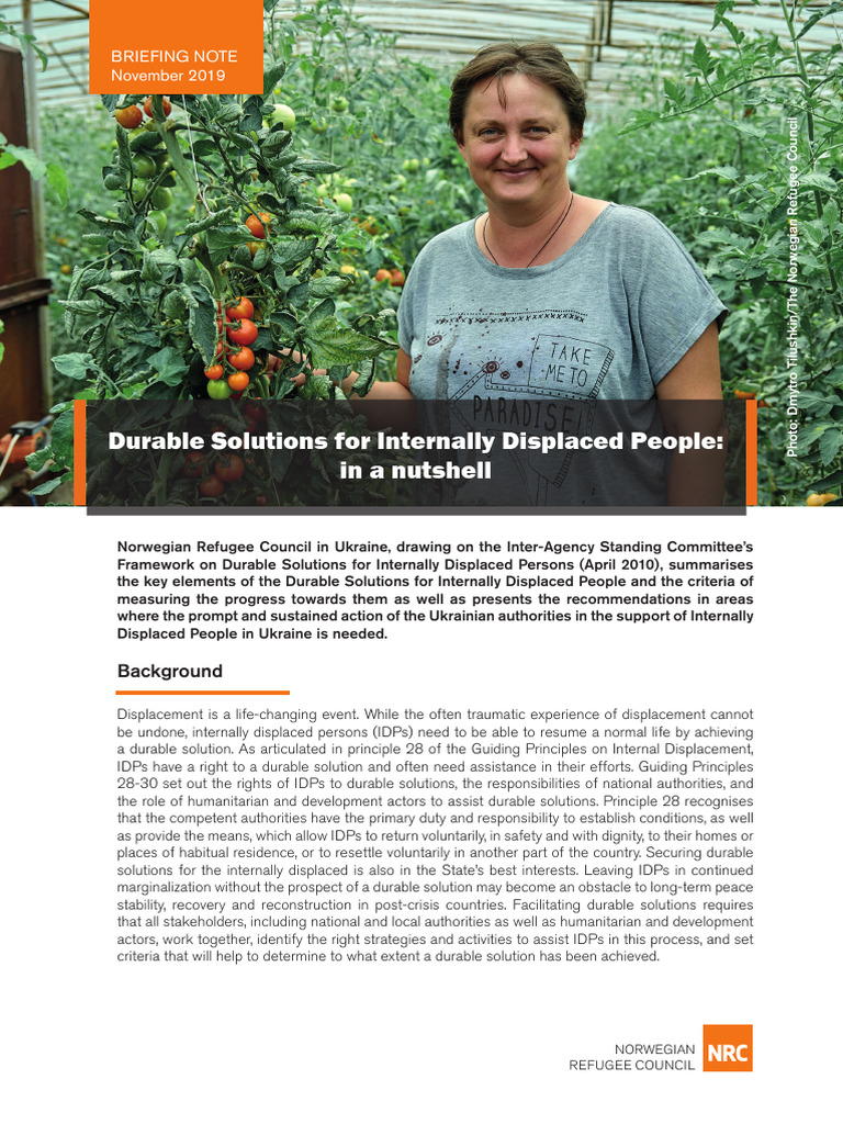 Durable Solutions for IDPs in Ukraine | PDF | Internally Displaced ...