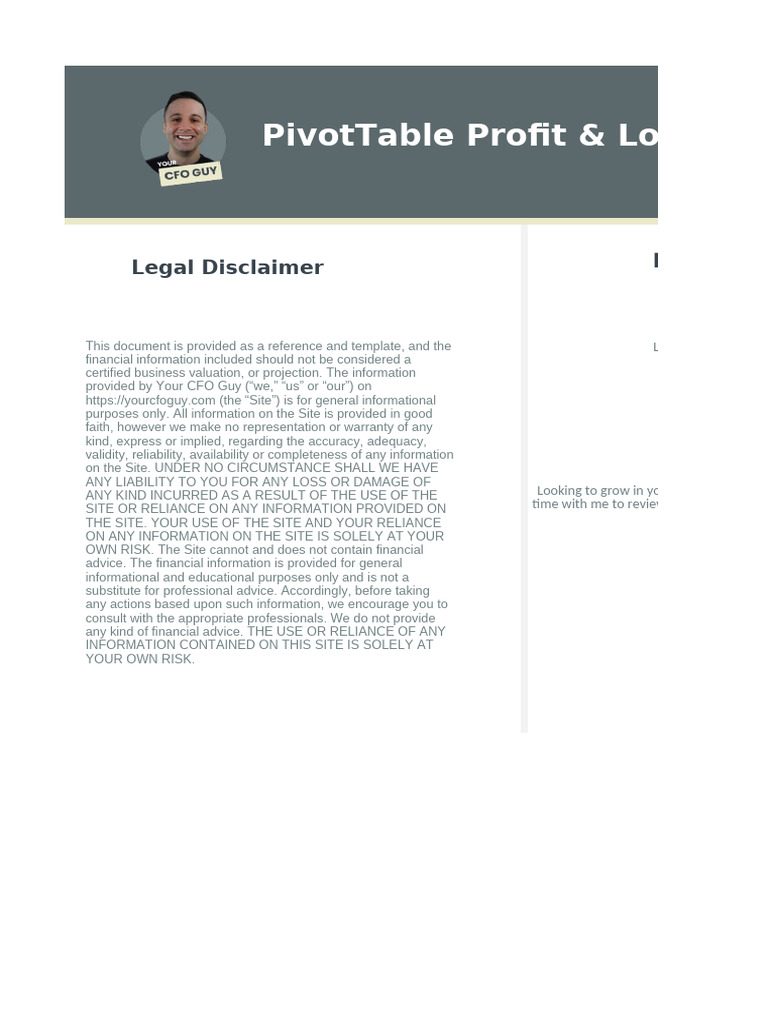 PivotTable Profit and Loss Template | PDF | Cost Of Goods Sold | Expense