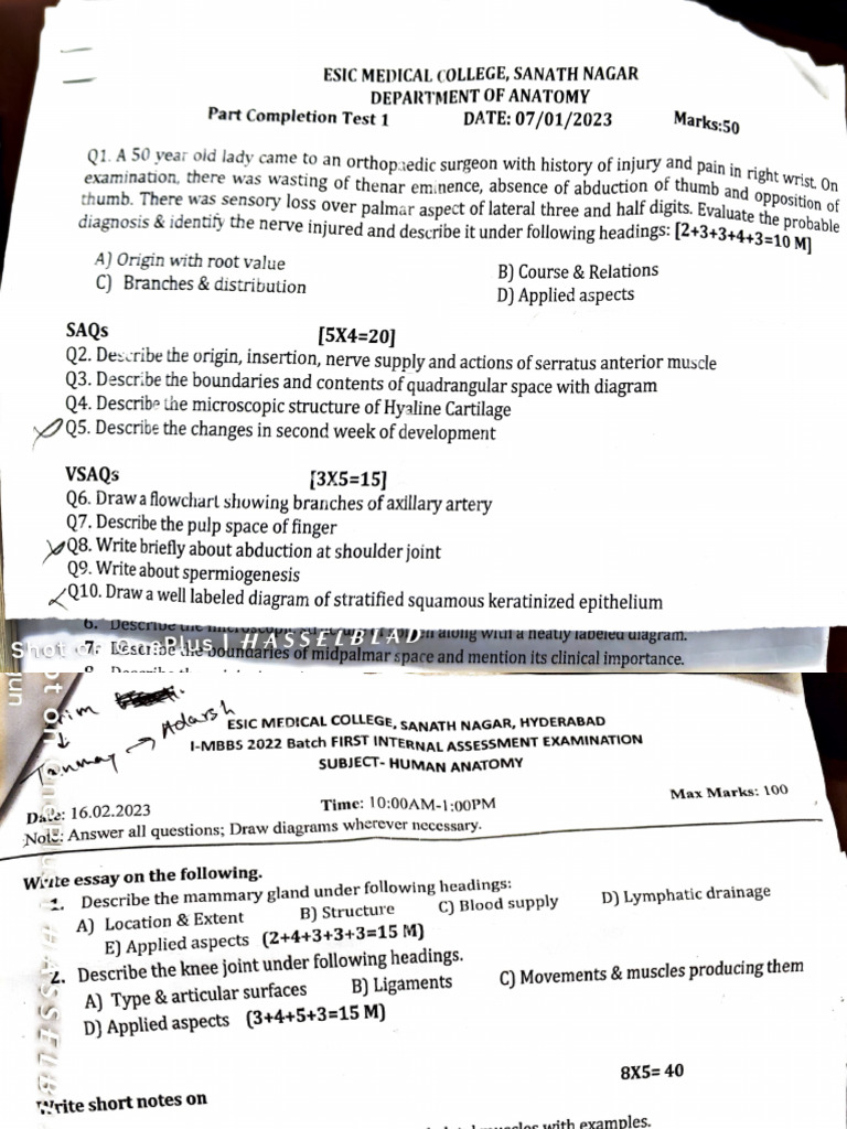 Anatomy Question Papers | PDF | Anatomy | Human Nose