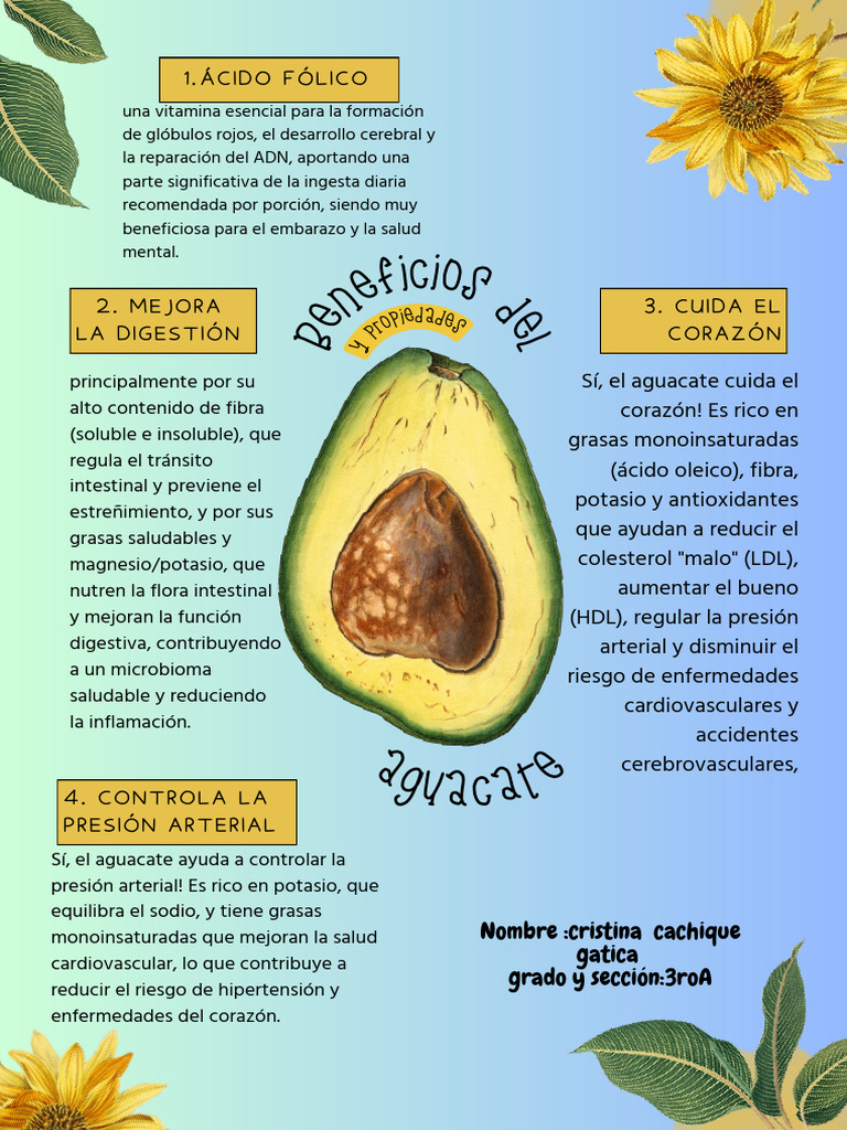 Documento A4 Beneficios Del Aguacate, Estilo Infografía e Ilustración ...