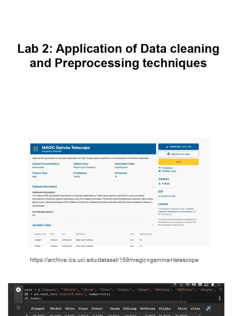 Lab 2_ Application of Data Cleaning and Preprocessing Techniques | PDF