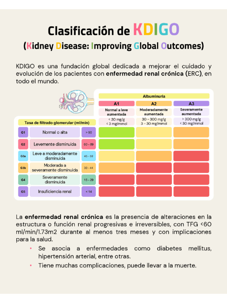 KDIGO | PDF