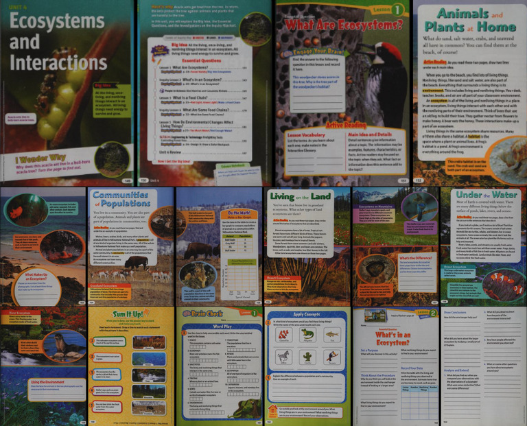 Science Fusion Unit 4 | PDF