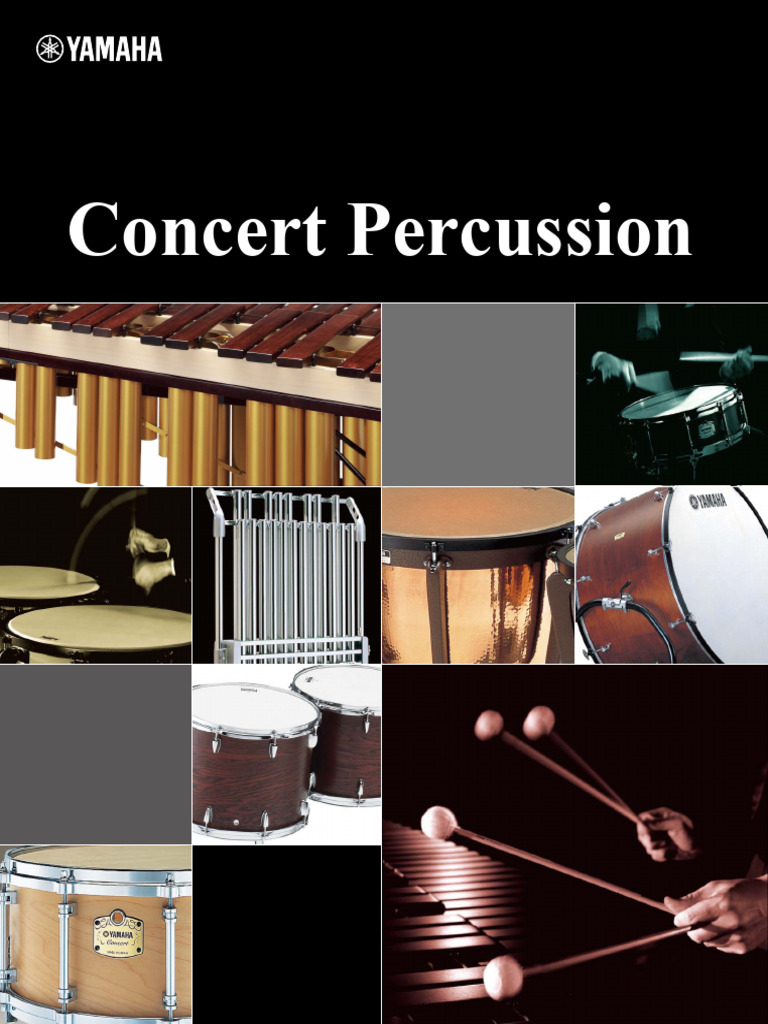 World-Class Concert Percussion Instruments | PDF | Orchestras | Musical ...