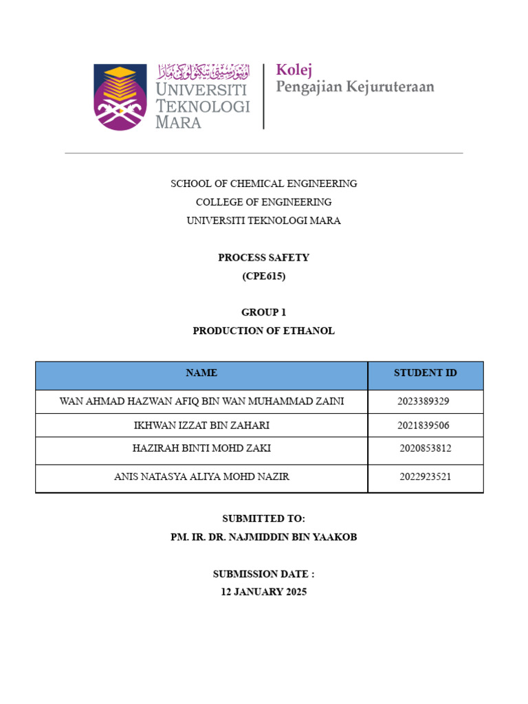CPE615 - Group 1_EH2206_Production of Ethanol | PDF | Ethanol ...