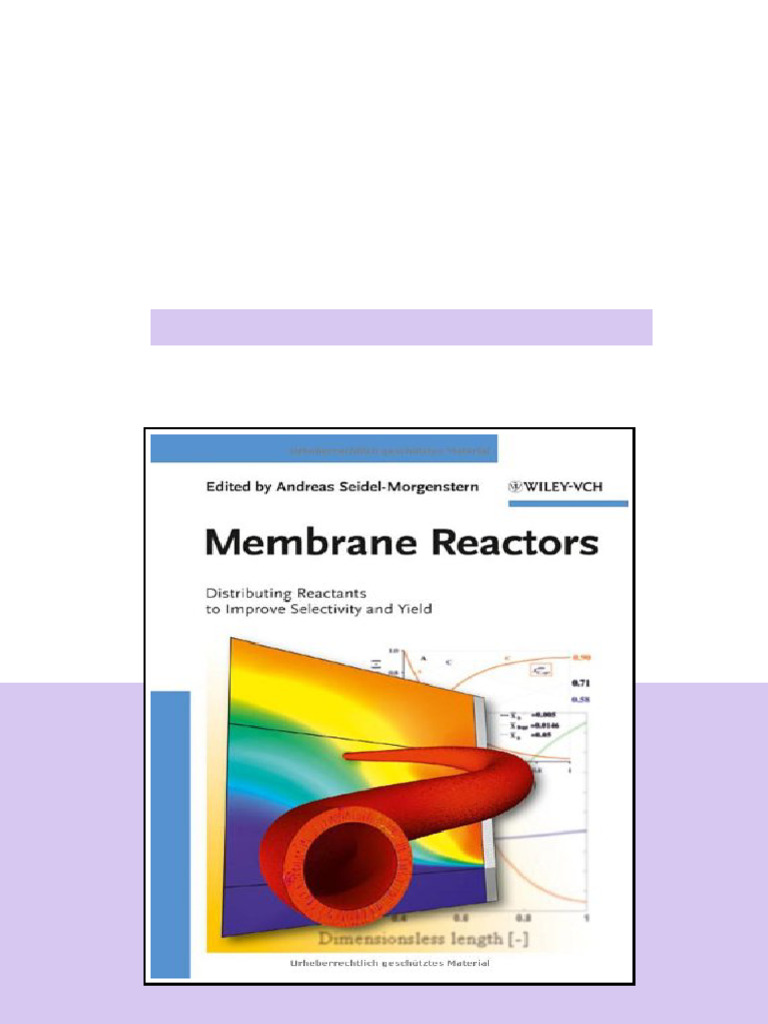 Membrane Reactors Distributing Reactants To Improve Selectivity And ...