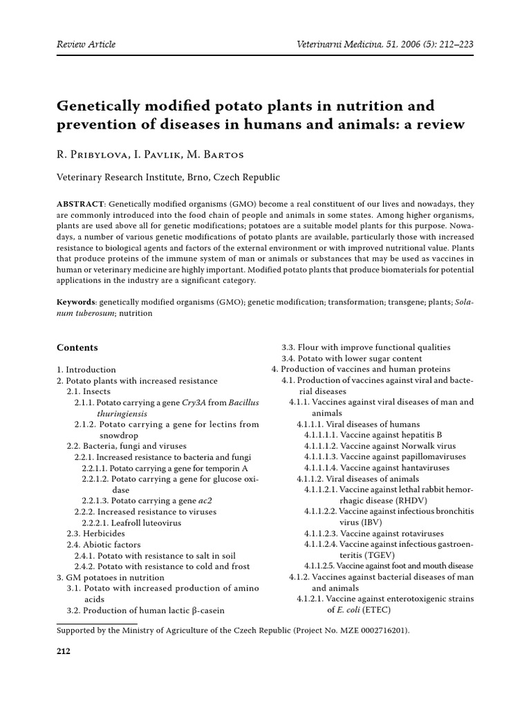 Genetically Modified Potato | PDF | Genetically Modified Organism | Virus