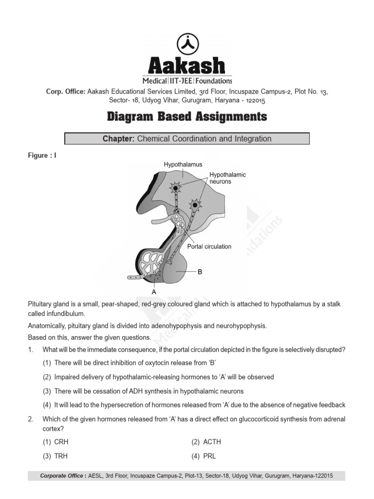 Ch-08_Chemical Coordination_Integration | PDF | Thyroid | Hypothalamus