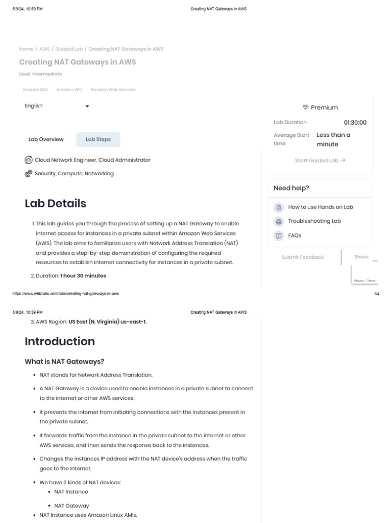 Set Up NAT Gateway in AWS Lab | PDF