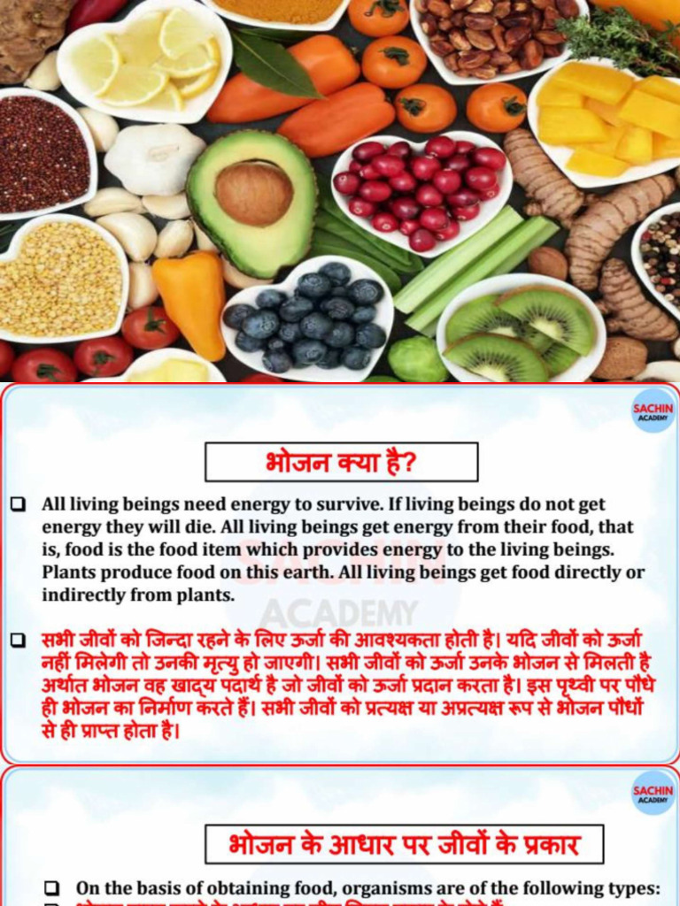EVS Class - 23 by Amit Sir Food | PDF