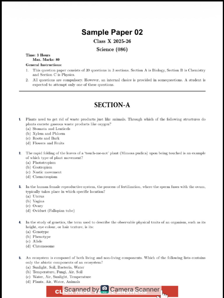 Sample Paper 2 | PDF