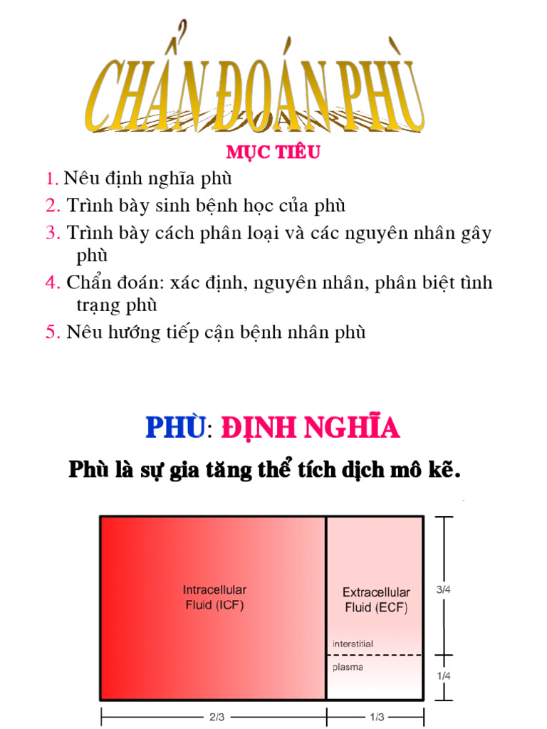 Chan Doan Phu | PDF