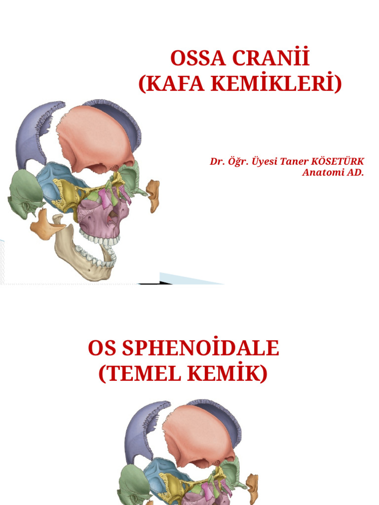 9) Ossa Cranii 2 | PDF
