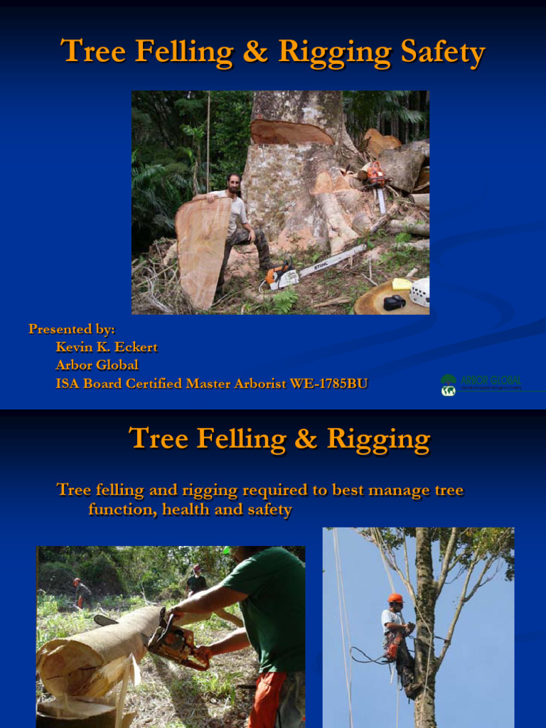 Tree Felling | PDF | Safety | Occupational Safety And Health