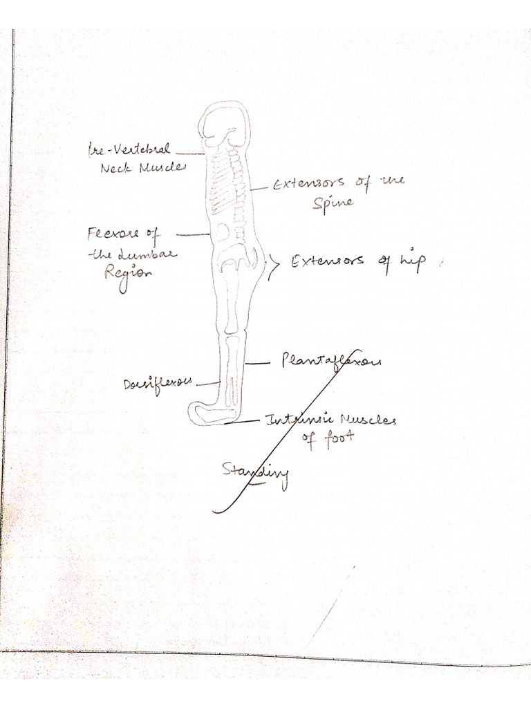 Starting and Derived Positions | PDF
