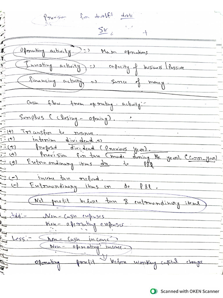 Cash Flow Format | PDF