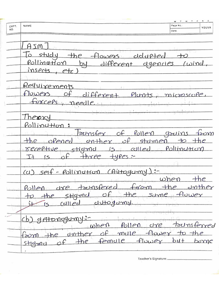 12th Biology Part 2 | PDF