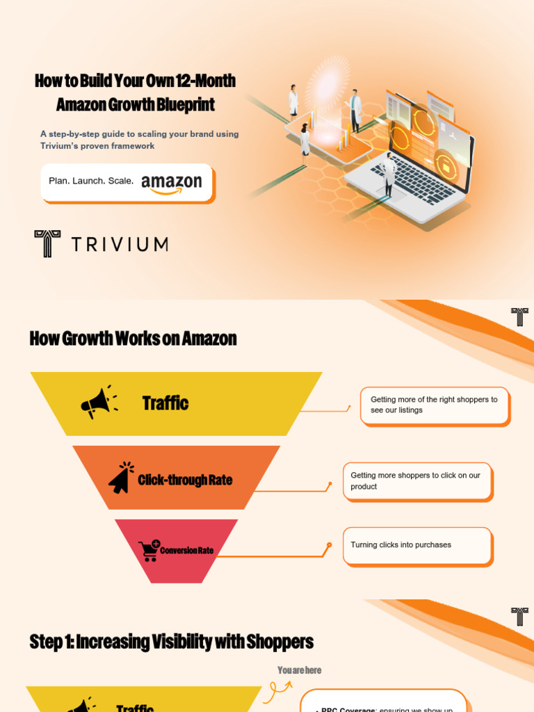 Amazon Growth Blueprint: 12-Month Guide | PDF | Economies | Marketing