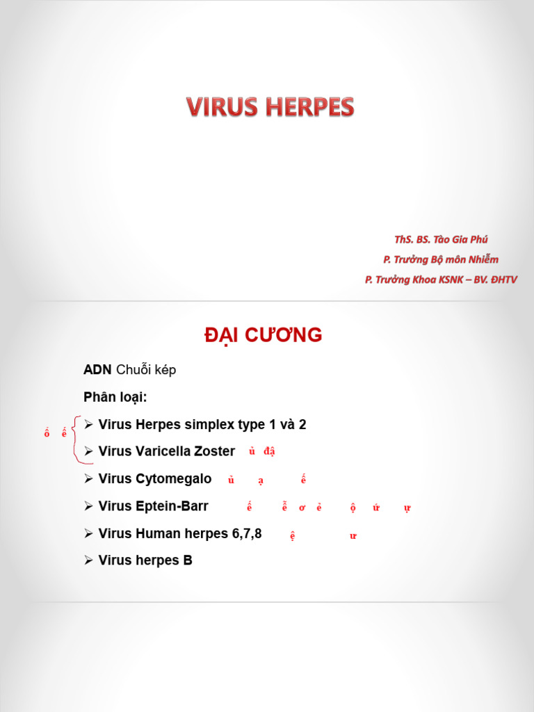 Virus Herpes | PDF