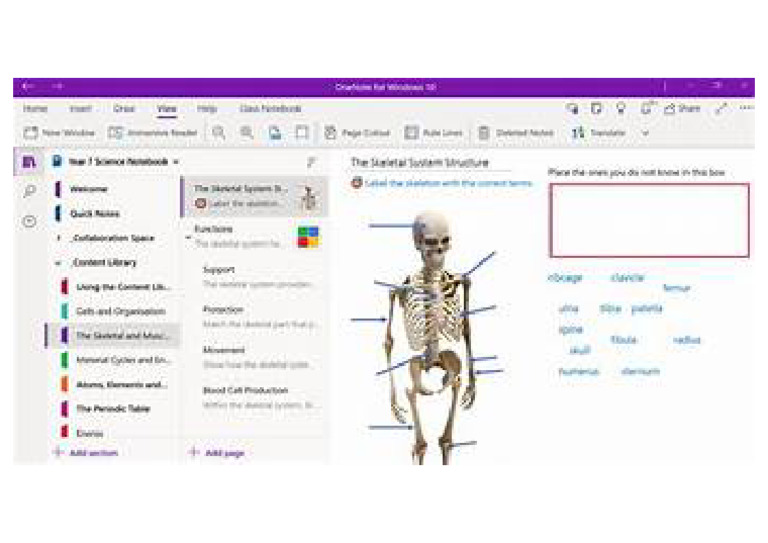 Research Paper Example-4 | PDF