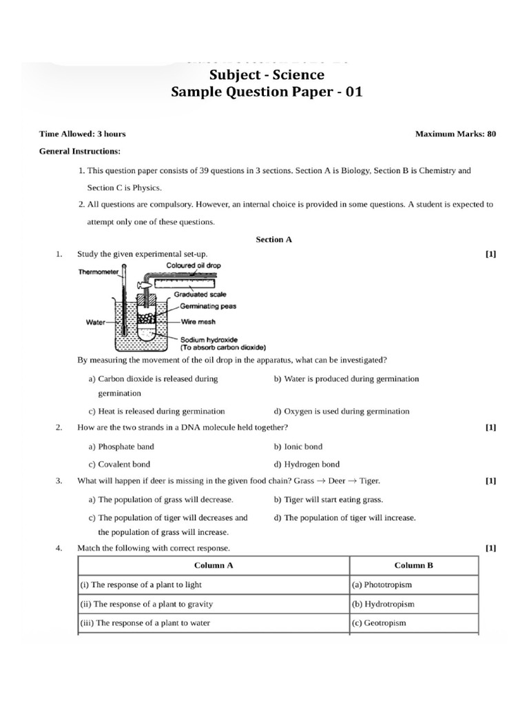 Science (Winter Vacation Assignment) | PDF