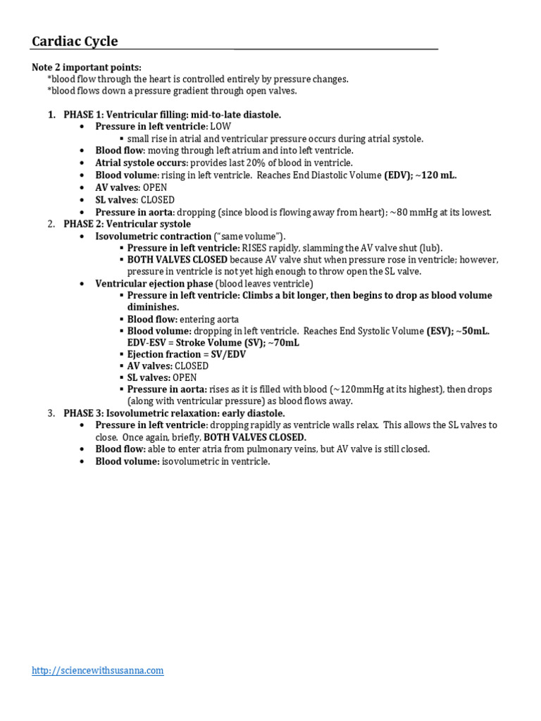 Cardiac Cycle | PDF