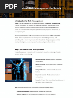Principles of Sensible Risk Management | PDF