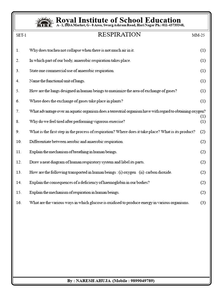 Human Respiration Exam Questions Set 1 | PDF