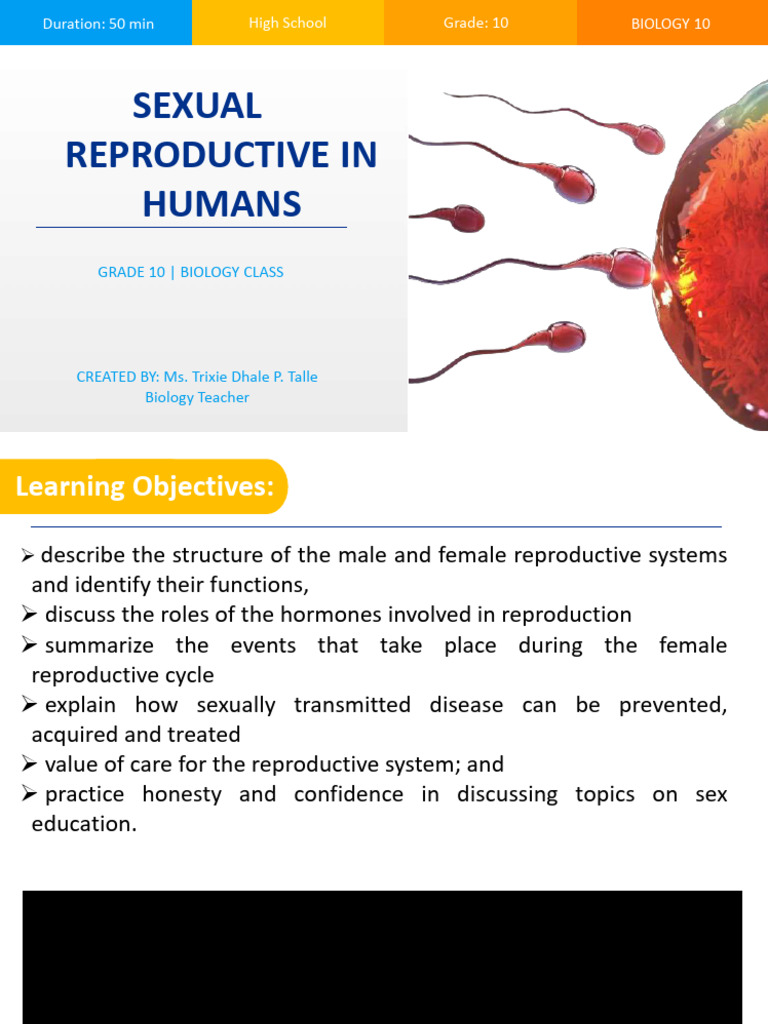 Human Reproductive Systems Overview | PDF | Menstrual Cycle | Ovary
